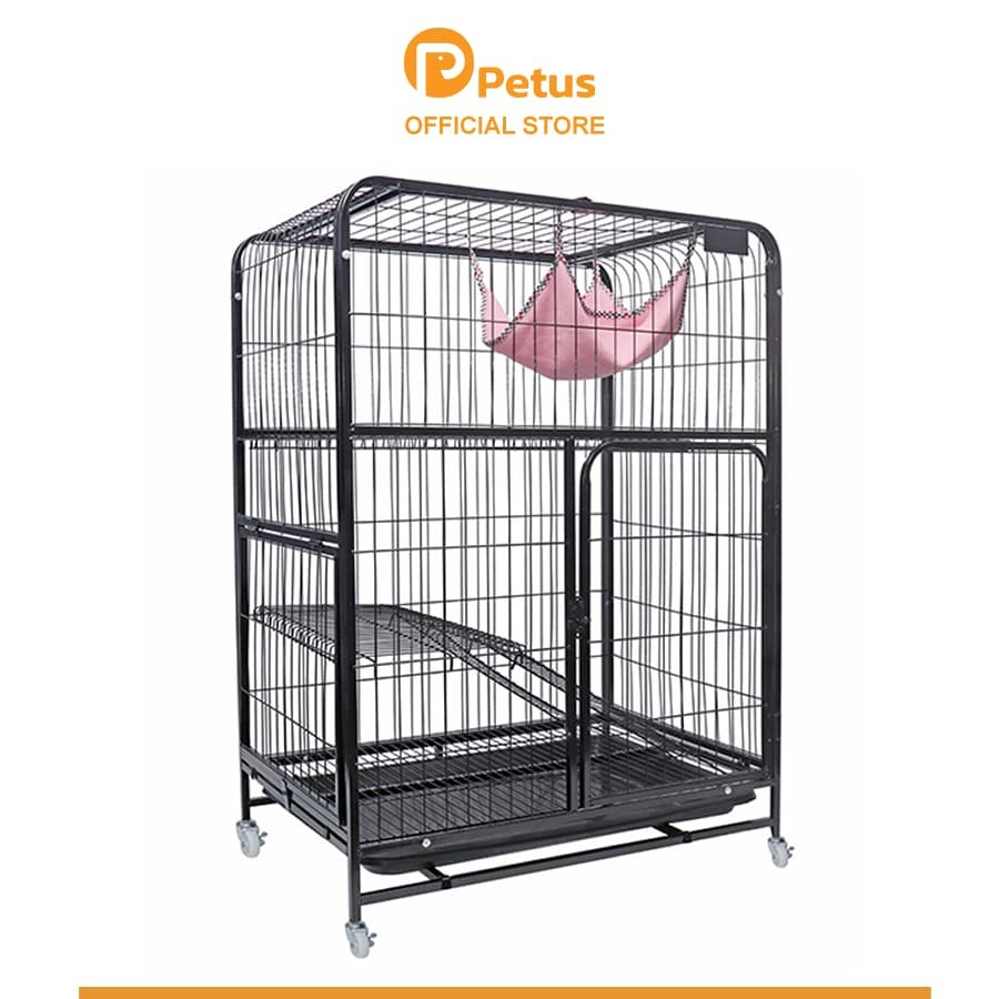 มือใหม่เลี้ยงแมว แนะนำรวมไอเทมเลี้ยงน้องที่ควรมี • ของดี